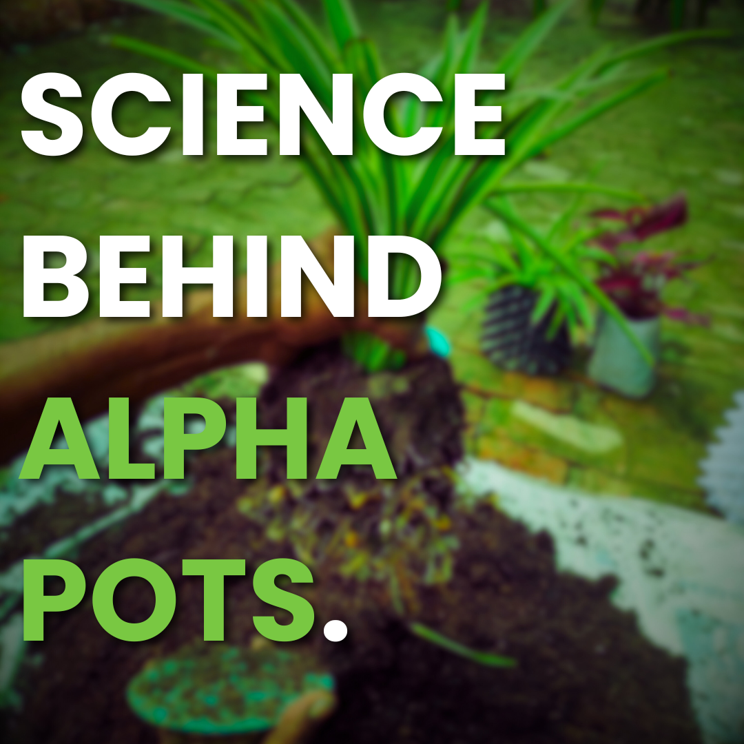 The Science Behind Alpha Pots: Nature-Inspired Designs for Stronger Pl ...