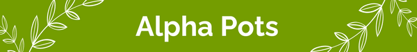 Alphaplanters | Premium Eco-Friendly Alpha Pots & Planters for Thrivin