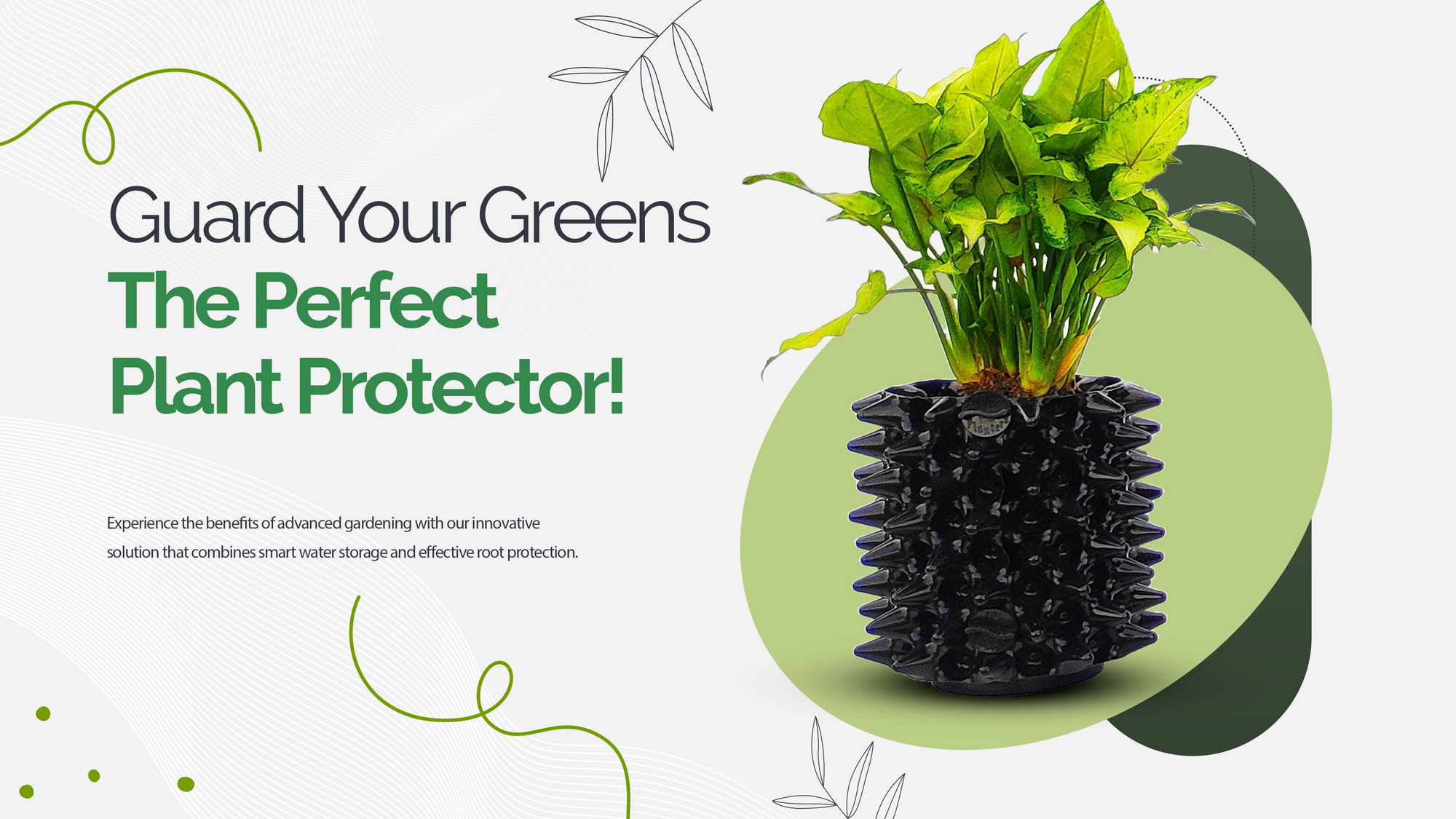 Alphaplanters | Premium Eco-Friendly Alpha Pots & Planters for Thrivin