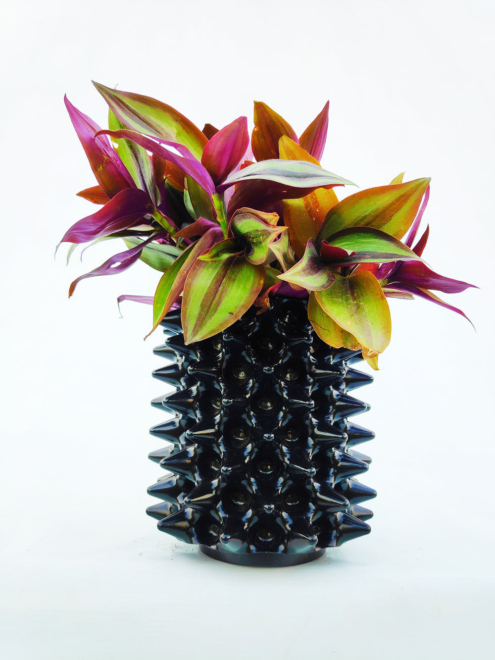 Collections – Alphaplanters