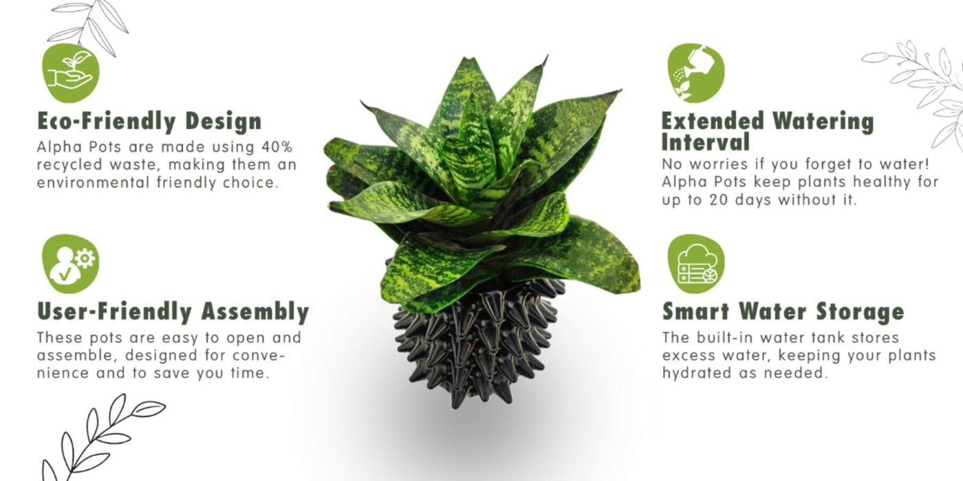 Alphaplanters | Premium Eco-Friendly Alpha Pots & Planters for Thrivin
