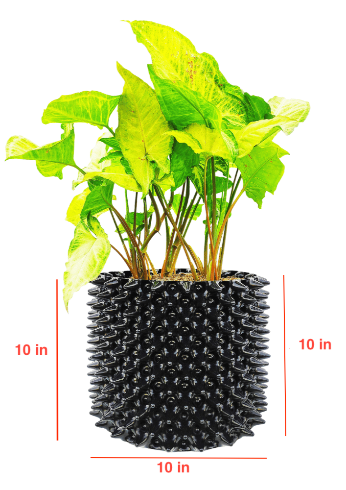 Alpha Pot Large – Alphaplanters