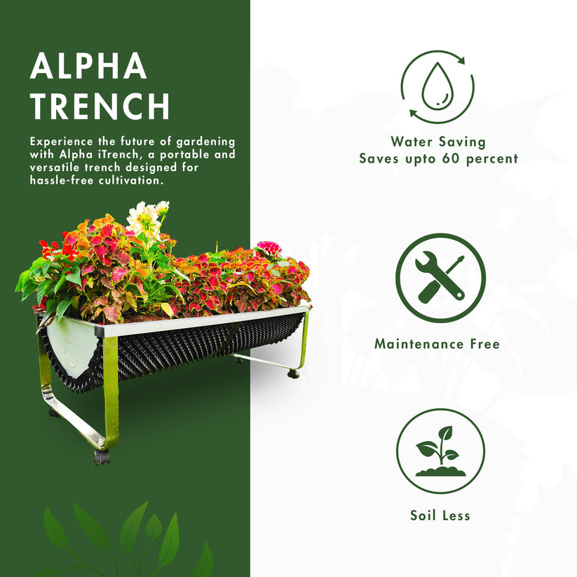 Alphaplanters | Premium Eco-Friendly Alpha Pots & Planters for Thrivin