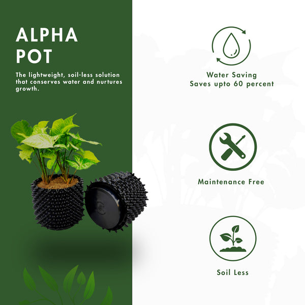 Alphaplanters | Premium Eco-Friendly Alpha Pots & Planters for Thrivin